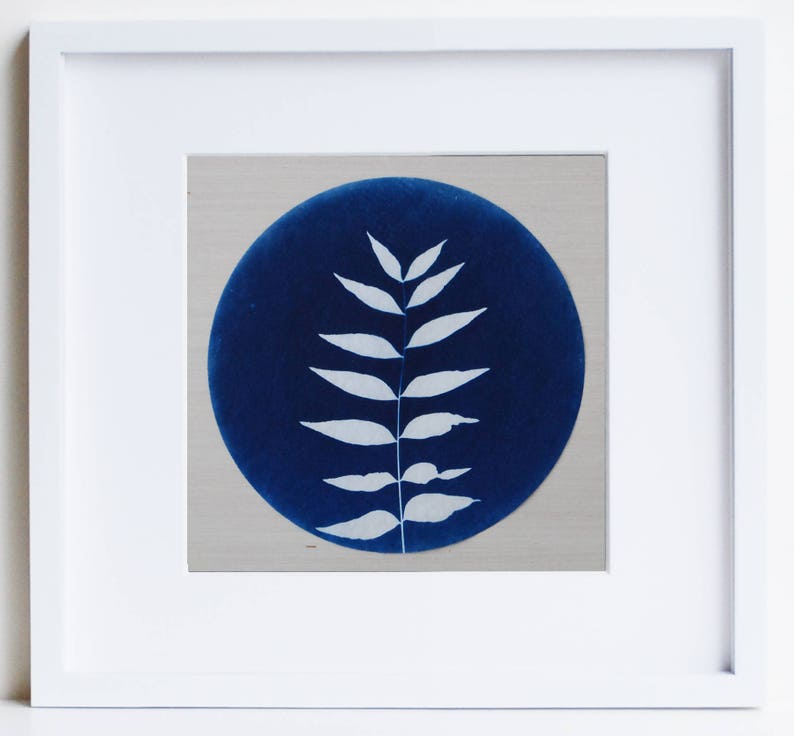Botanical Art, Original Cyanotypes, Set of Four - Etsy