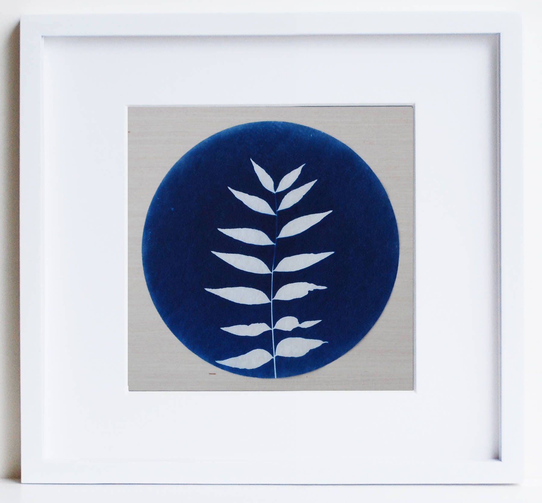 Botanical Art, Original Cyanotypes, Set of Four - Etsy
