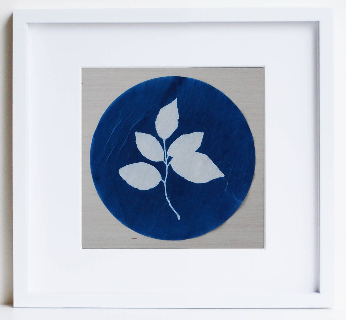 Botanical Art Original Cyanotypes Set of Four | Etsy