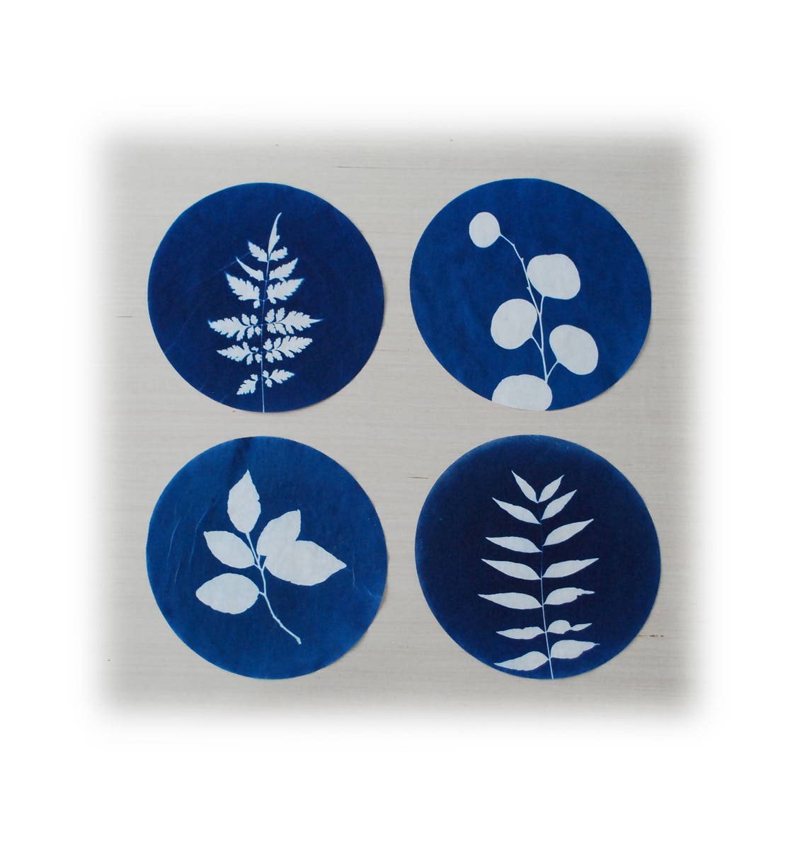 Botanical Art Original Cyanotypes Set of Four - Etsy