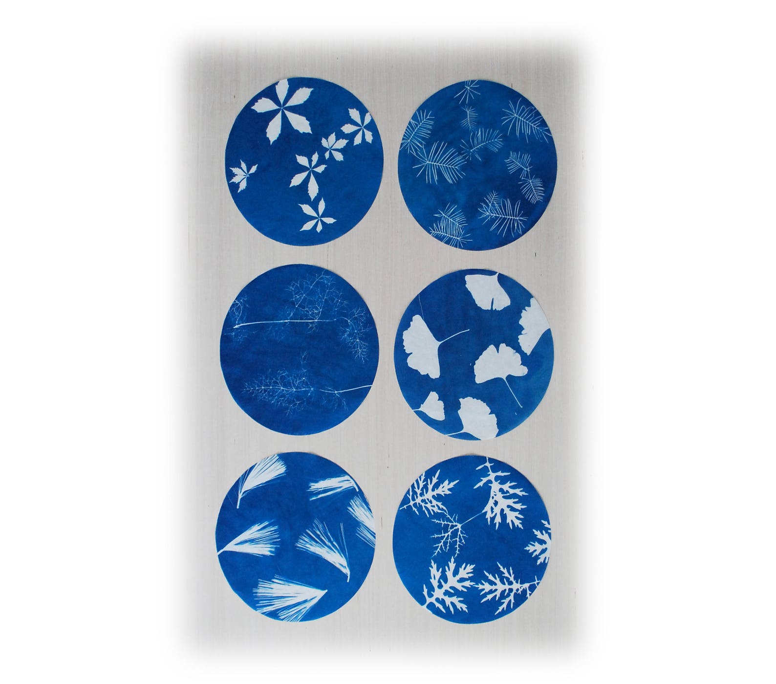 Botanical Art, Original Cyanotypes, Set of Six - Etsy