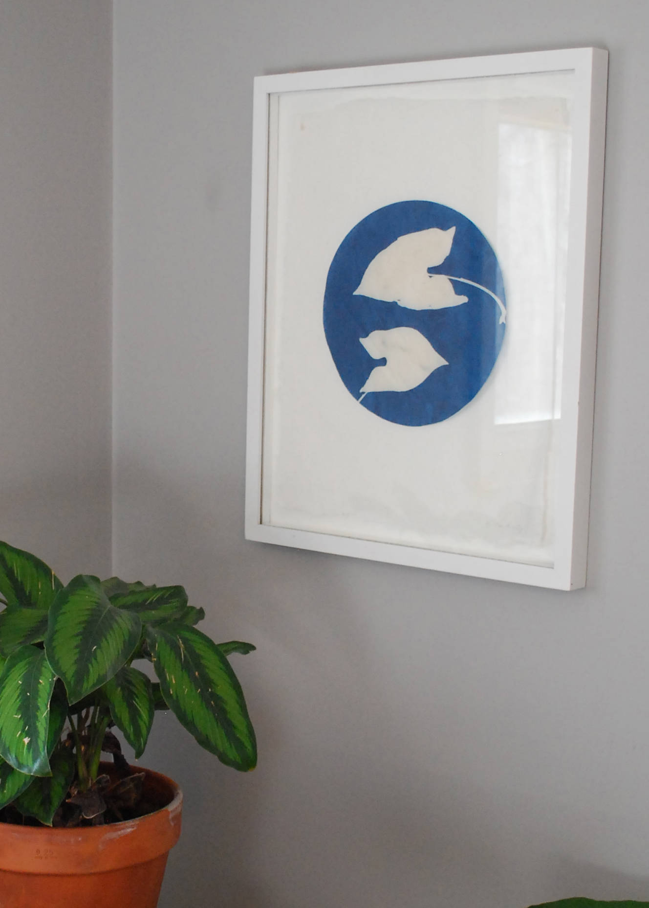 Botanical Art, Original Cyanotype - Etsy