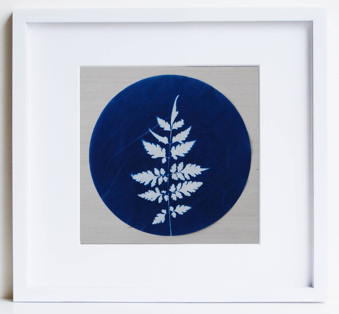 Botanical Art Original Cyanotypes Set of Four - Etsy