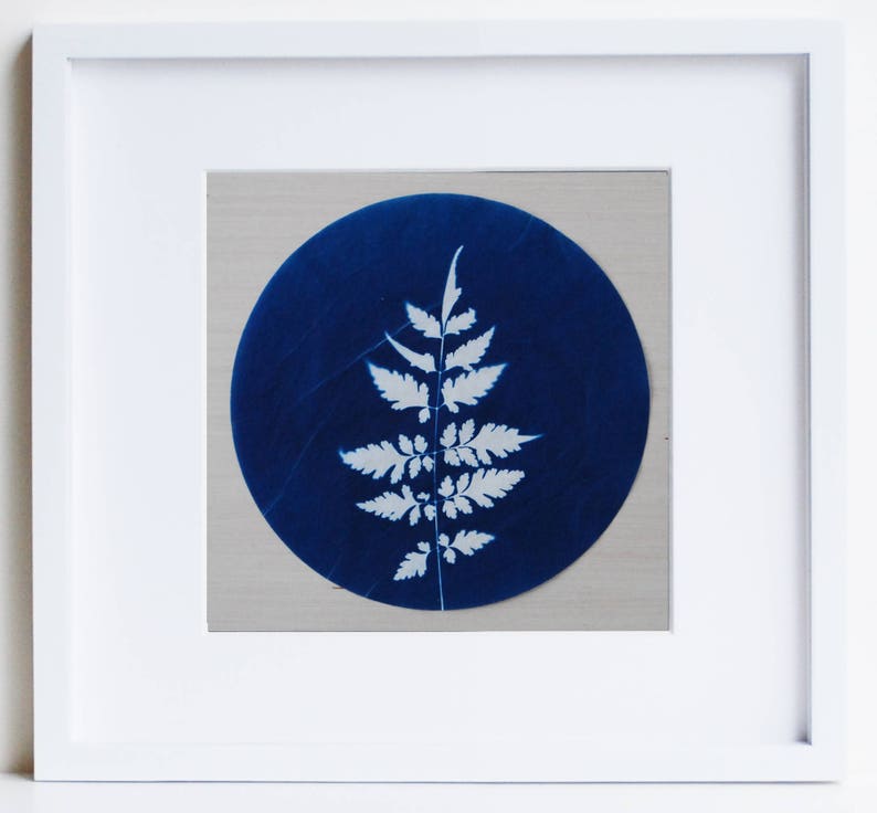 Botanical Art, Original Cyanotypes, Set of Four - Etsy