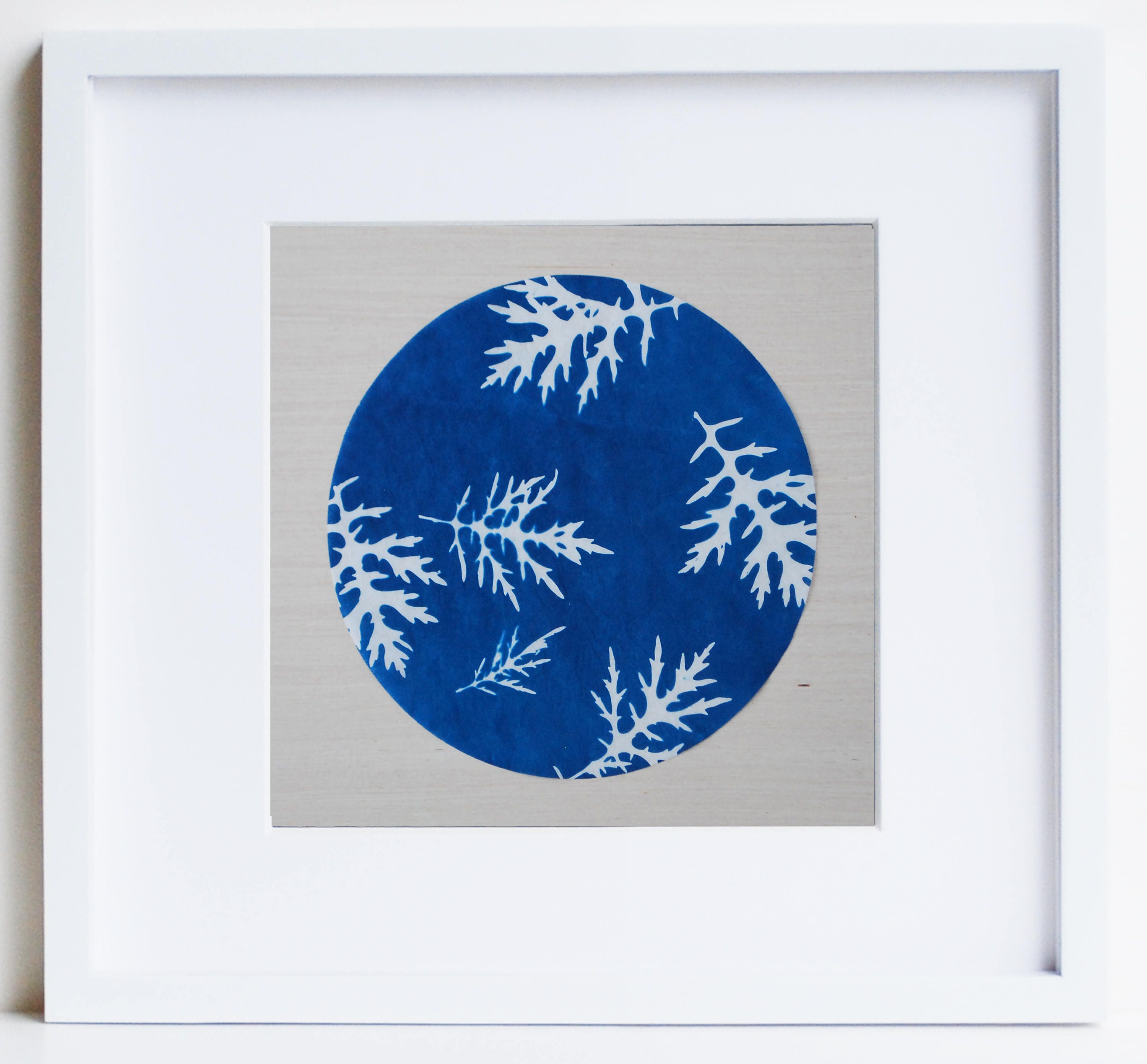 Botanical Art, Original Cyanotype - Etsy