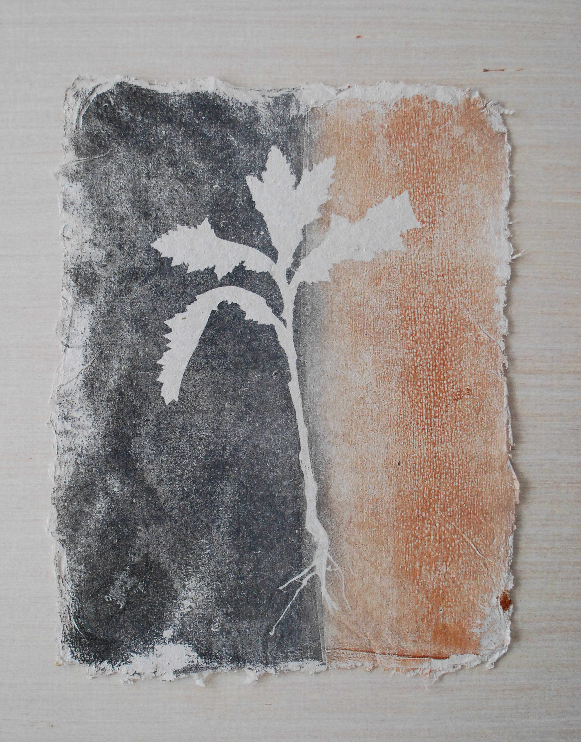 Set of 4 Botanical Gelatin Prints on Hand Made Paper - Etsy