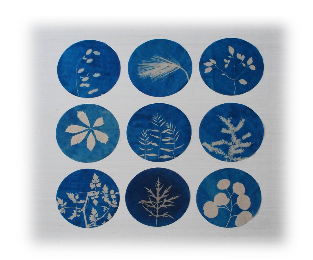 Botanical Art, Original Cyanotypes, Upcycled, Recycled Art, Set of Nine ...