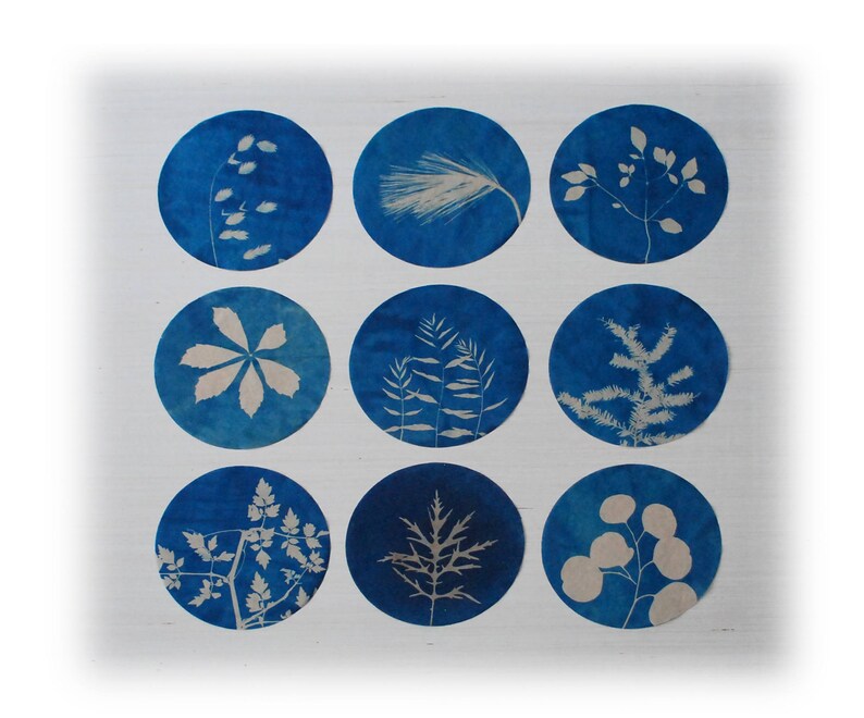 Botanical Art, Original Cyanotypes, Upcycled, Recycled Art, Set of Nine ...