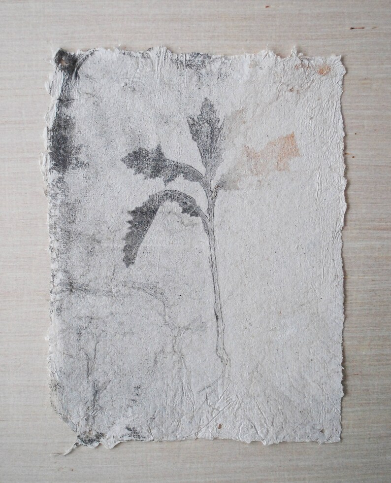 Set of 4 Botanical Gelatin Prints on Hand Made Paper - Etsy
