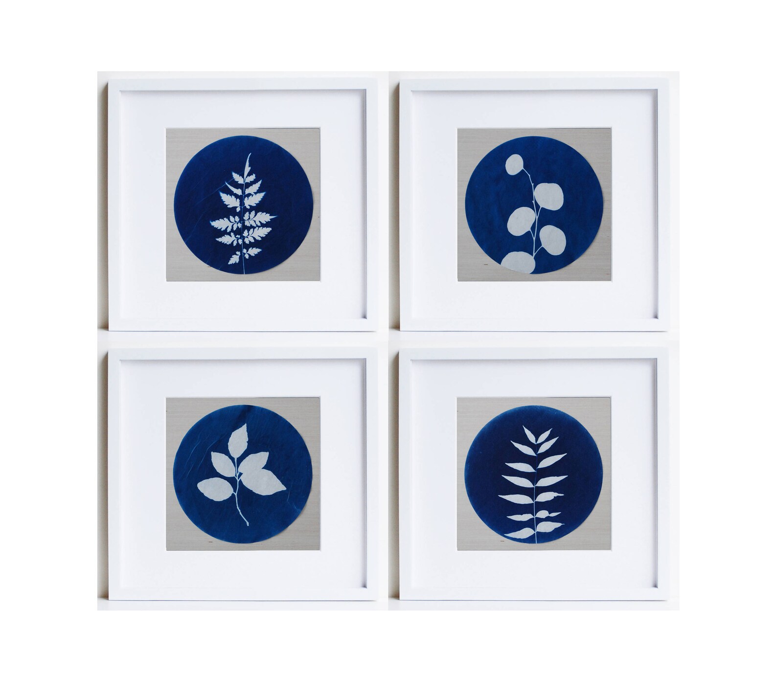Botanical Art, Original Cyanotype - Etsy