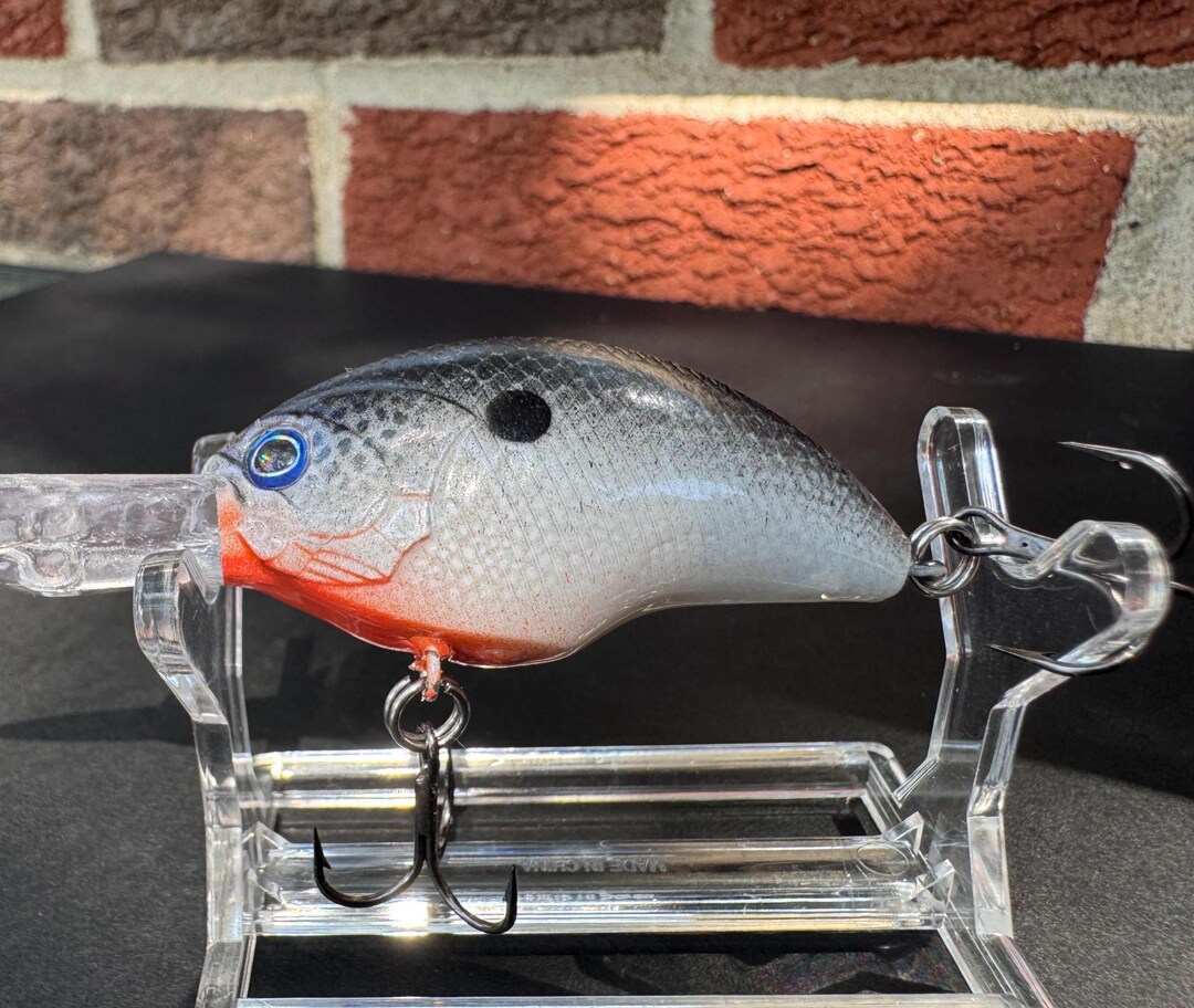 Custom Blitz EX-DR Style Crankbait - Omen Shad - VMC Hooks - Etsy