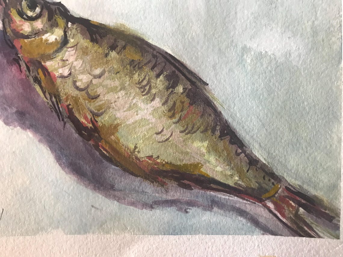 Dried Fish Original Gouache Painting,fish Painting ,kitchensrt,moody ...