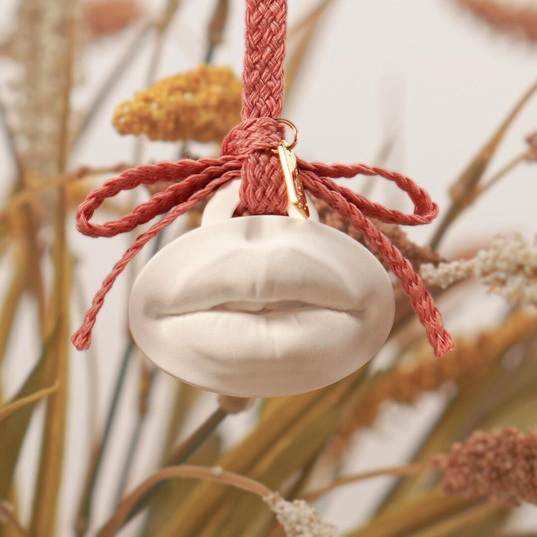 BTS Lip-shaped Plaster Air Freshener | BTS Jimin | Car Air Freshener ...