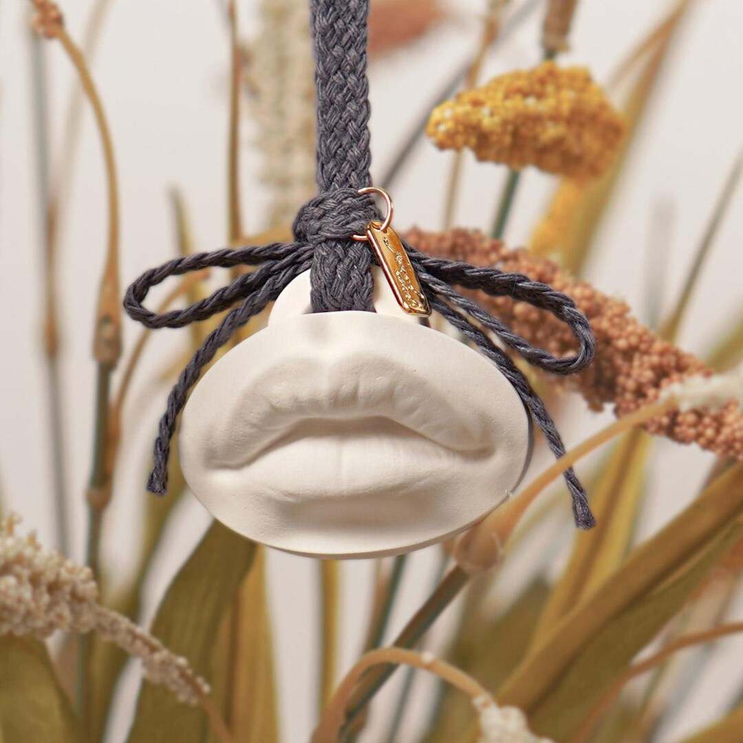 BTS Lip Plaster Air Freshener: Handmade K-pop Aroma Diffuser - Etsy