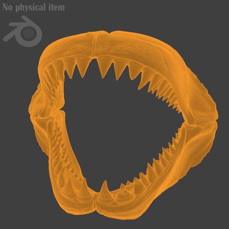 Shark Jaw | Single-color STL Model for 3D Printing | Shark Jaw ...