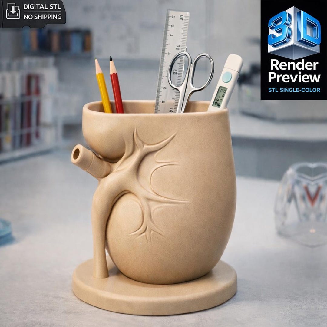 Kidney Medical Organizer STL | Digital 3D Print Model | Medical Desk ...