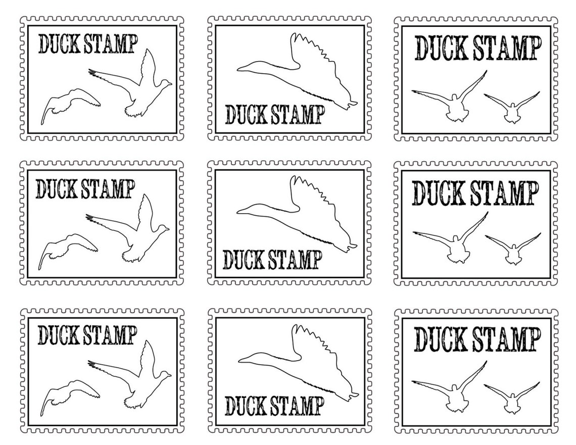DIY Printable Duck Stamps Coloring Sheet | Etsy