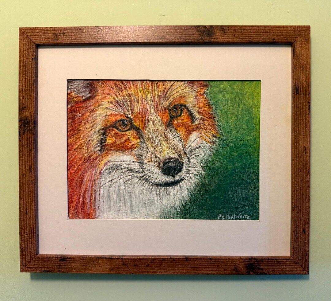 Fox Drawing: Original Coloured Pencil Art in Rustic Frame - Etsy