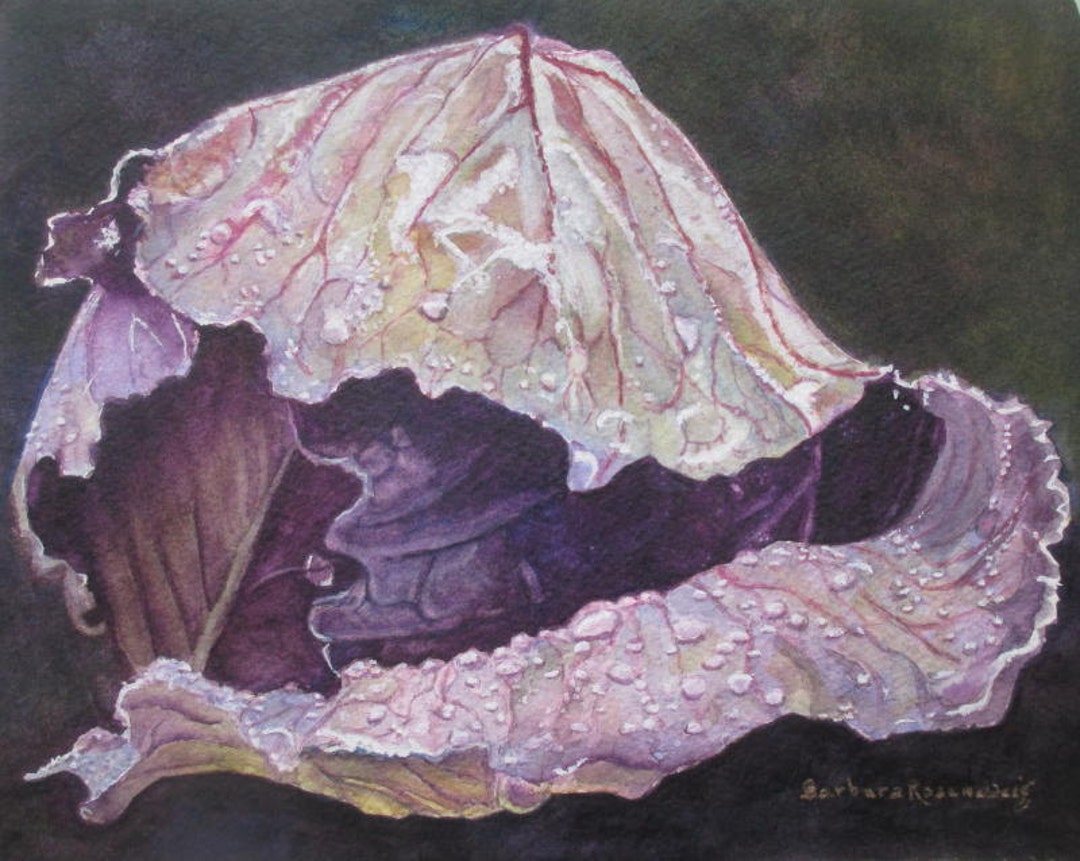 Purple Cabbage Kitchen Wall Art Print, Vegetable Home Décor - Etsy