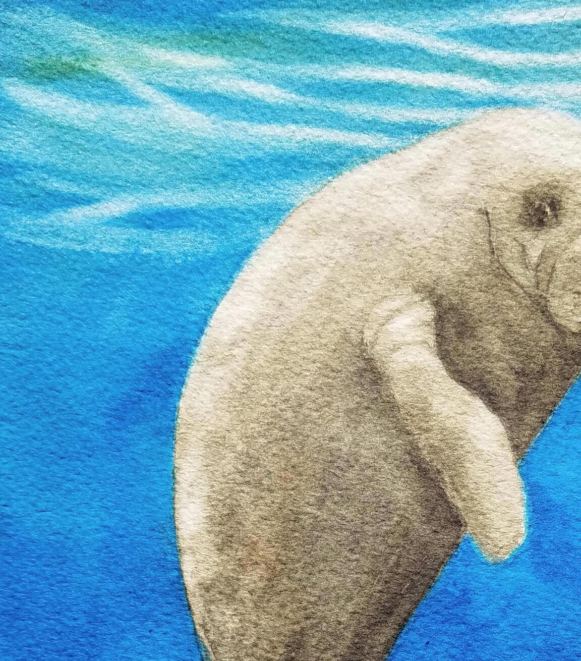 Manatee Art, Manatee Painting, Coastal Decor, Beach Painting, Anna ...