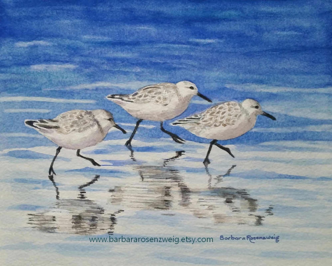 Beach Sandpipers Watercolor Painting, Coastal Bird Art, Shorebird Wall ...