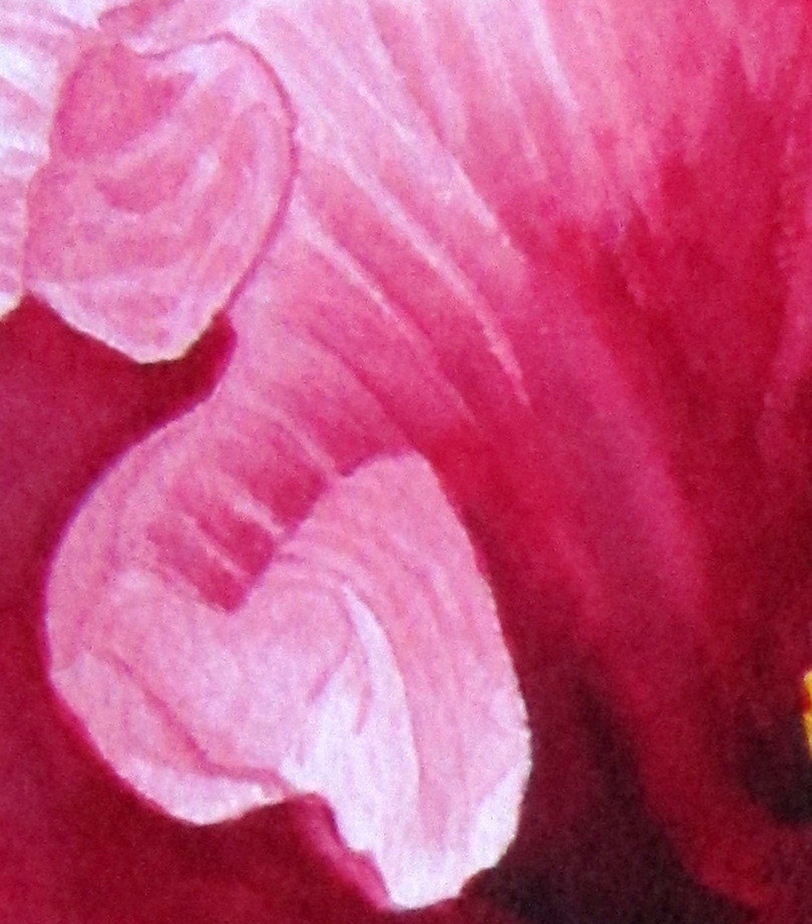 Pink Flower Art Print Watercolor Painting Canvas Print | Etsy