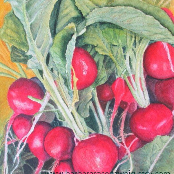 Radish Painting - Etsy