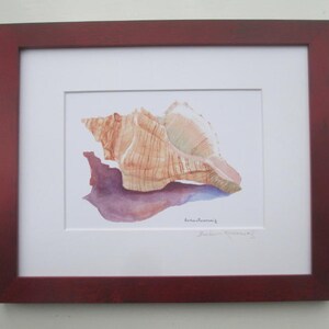 Conch Seashell Watercolor Painting, Conch Shell Art Print, Beach House ...