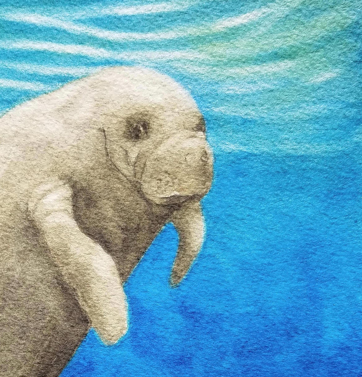 Manatee Art, Manatee Painting, Coastal Decor, Beach Painting, Anna ...