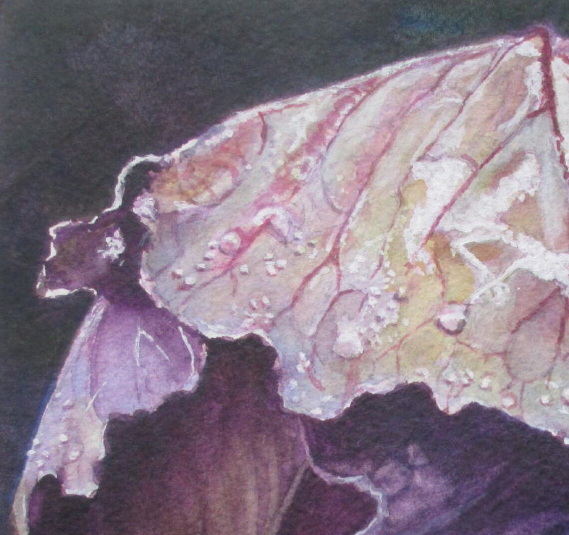 Purple Cabbage Kitchen Wall Art Print Vegetable Home Décor - Etsy