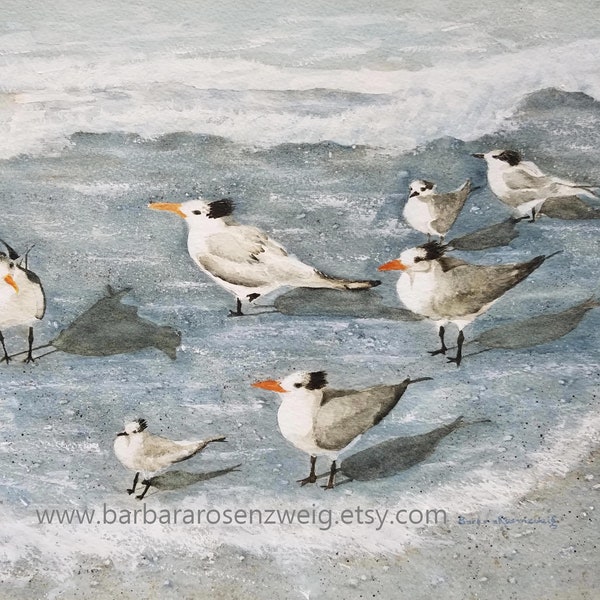 Sea Tern - Etsy