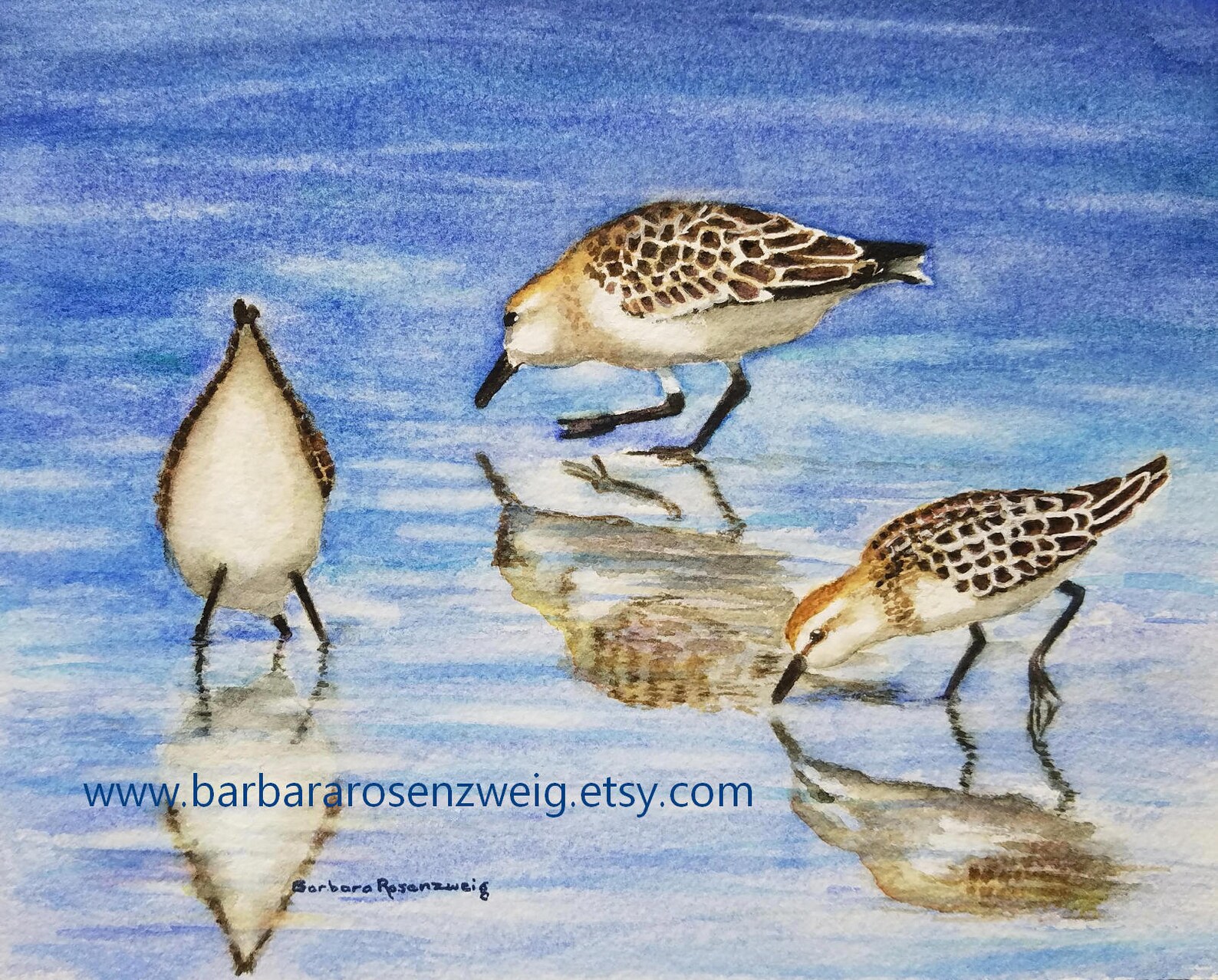 Sandpiper Bird Watercolor Painting Coastal Decor Anna Maria - Etsy