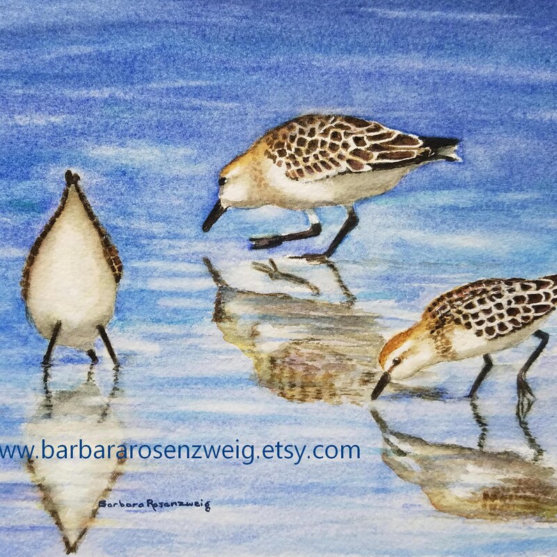Sandpiper Canvas Art - Etsy