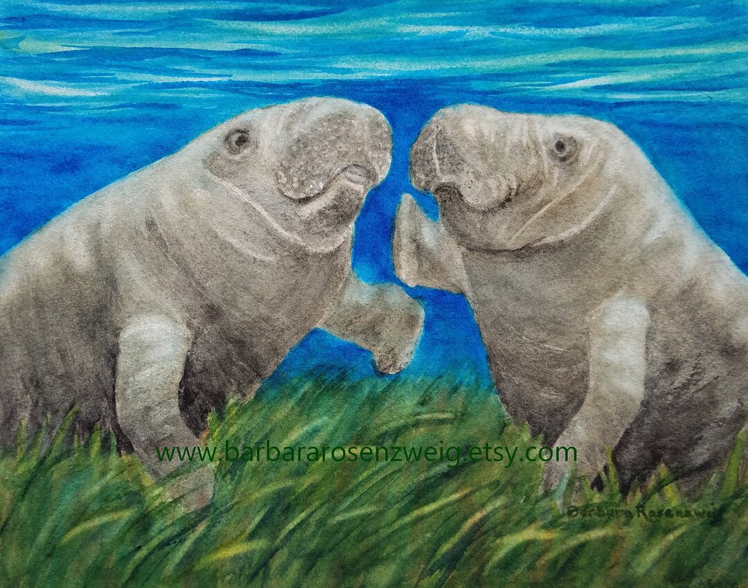 Manatee Watercolor Painting, Florida Manatee, Sea Cow Art, Anna Maria ...