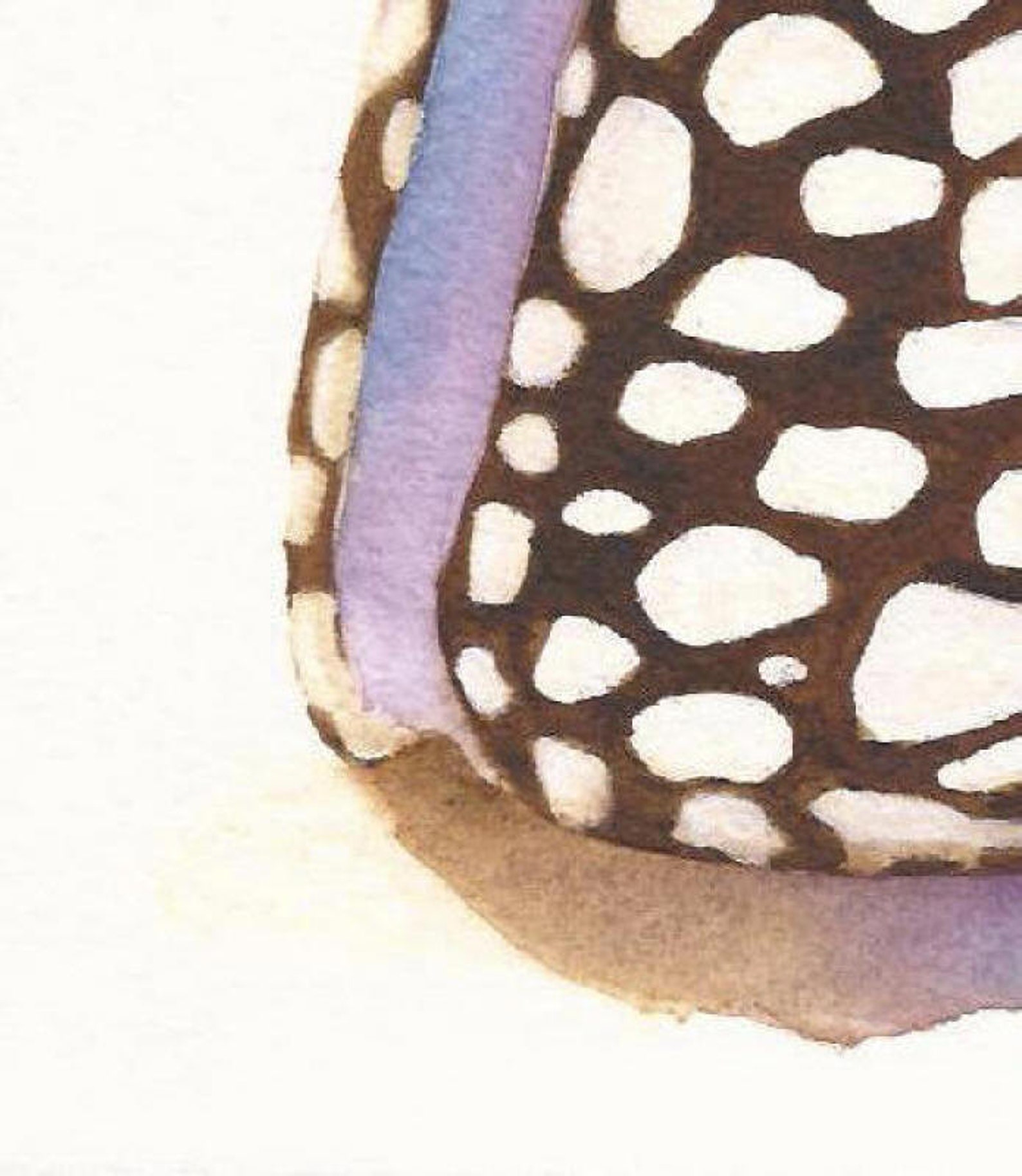 Cone Seashell Wall Art Painting Coastal Home Décor Print | Etsy