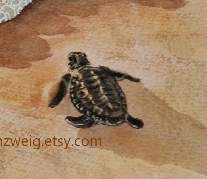 Cute Turtle Baby Watercolor Painting Baby Turtle Print Beach - Etsy