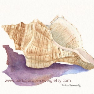 Conch Seashell Watercolor Painting, Conch Shell Art Print, Beach House ...