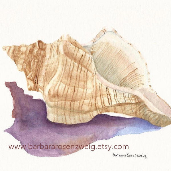 Conch Shell Art - Etsy