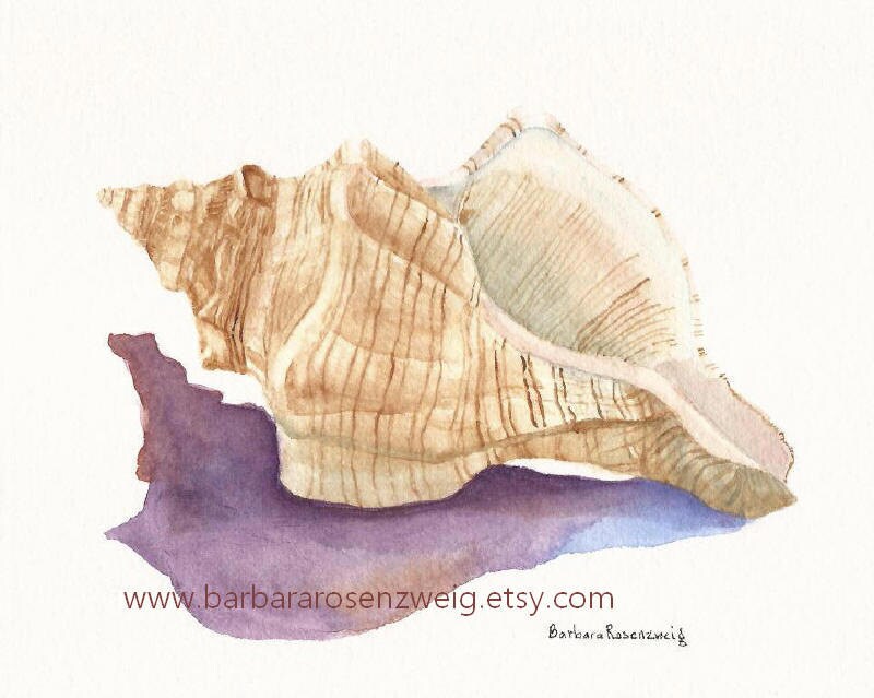 Conch Seashell Watercolor Painting Conch Shell Art Print - Etsy