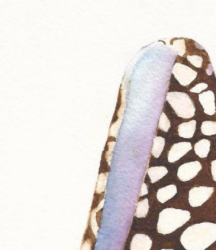 Cone Seashell Wall Art Painting Coastal Home Décor Print - Etsy