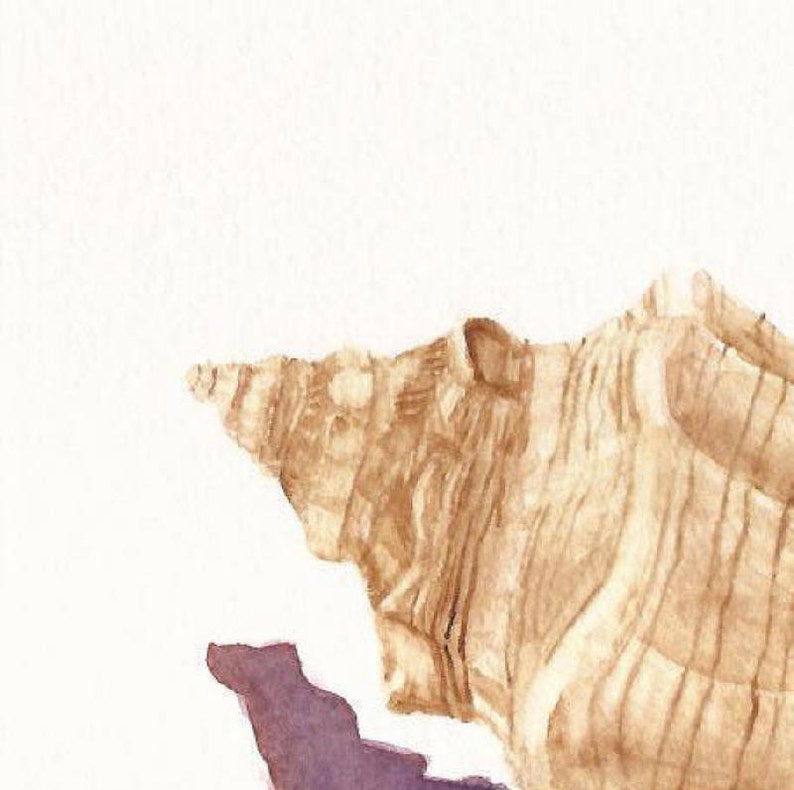 Conch Seashell Watercolor Painting Conch Shell Art Print - Etsy Ireland