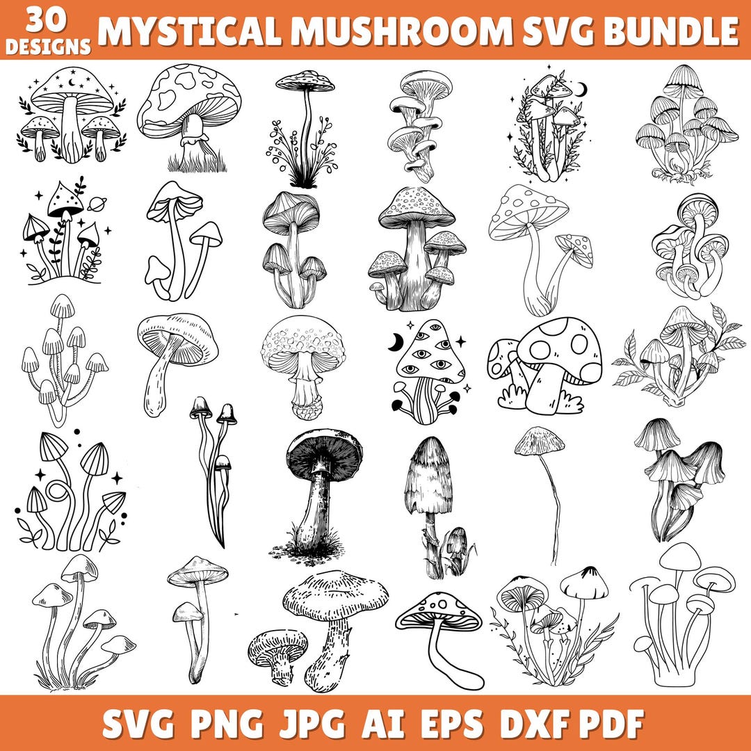 Mystical Mushroom Svg Bundle, Mushroom Png, Mushroom Clipart, Magic ...