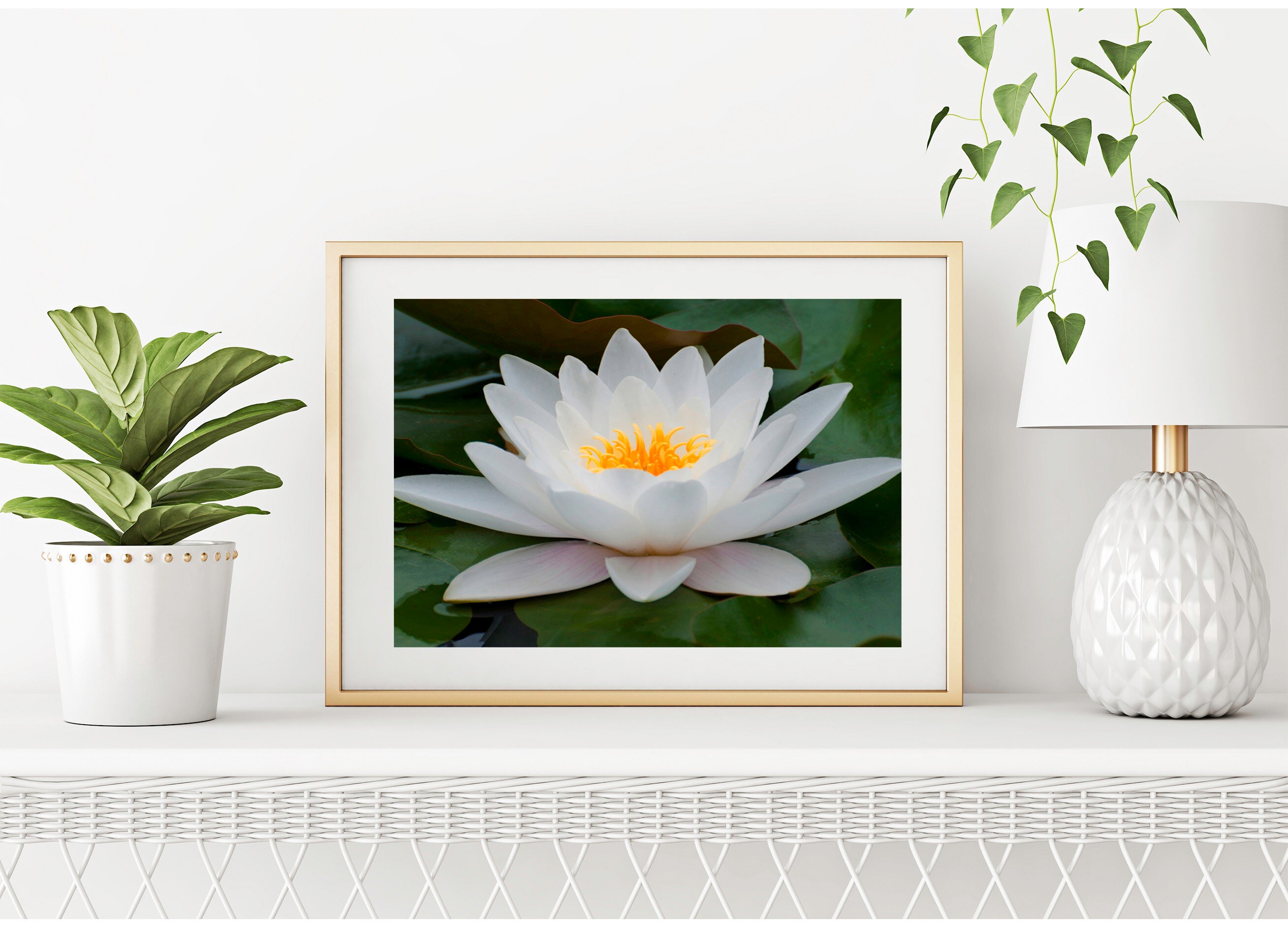 Lotus Flower Art Lotus Flower Wall Decor Downloadable Art | Etsy