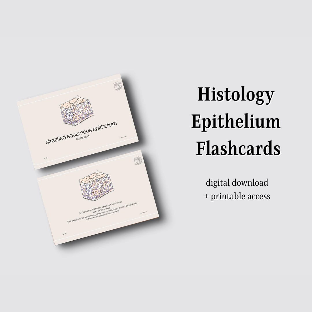 High-yield Histology Flashcards: Epithelium PDF & PNG Study Cards (12 ...