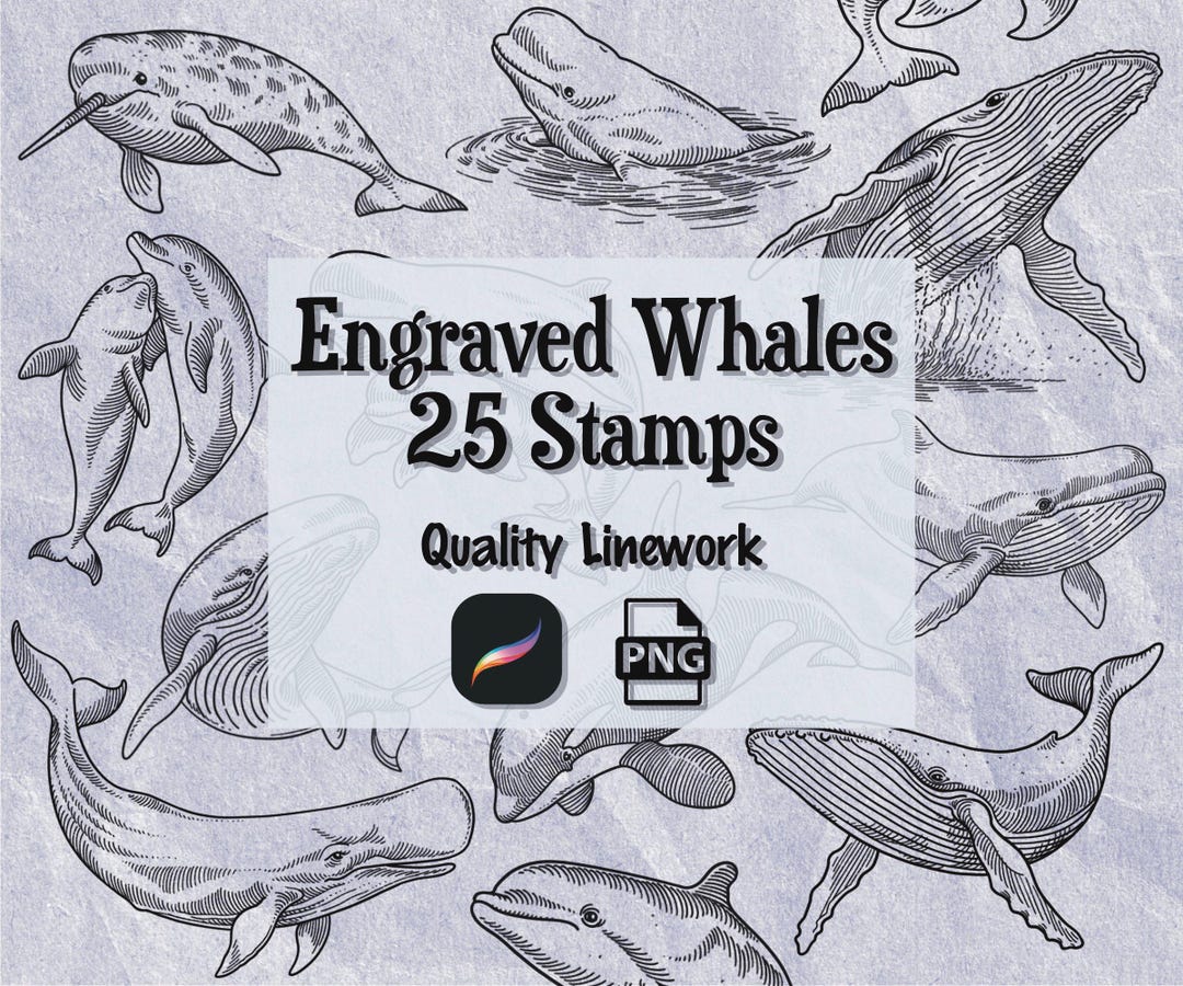 Engraved Whale Stamps for Procreate: Vintage Tattoo, Illustration ...