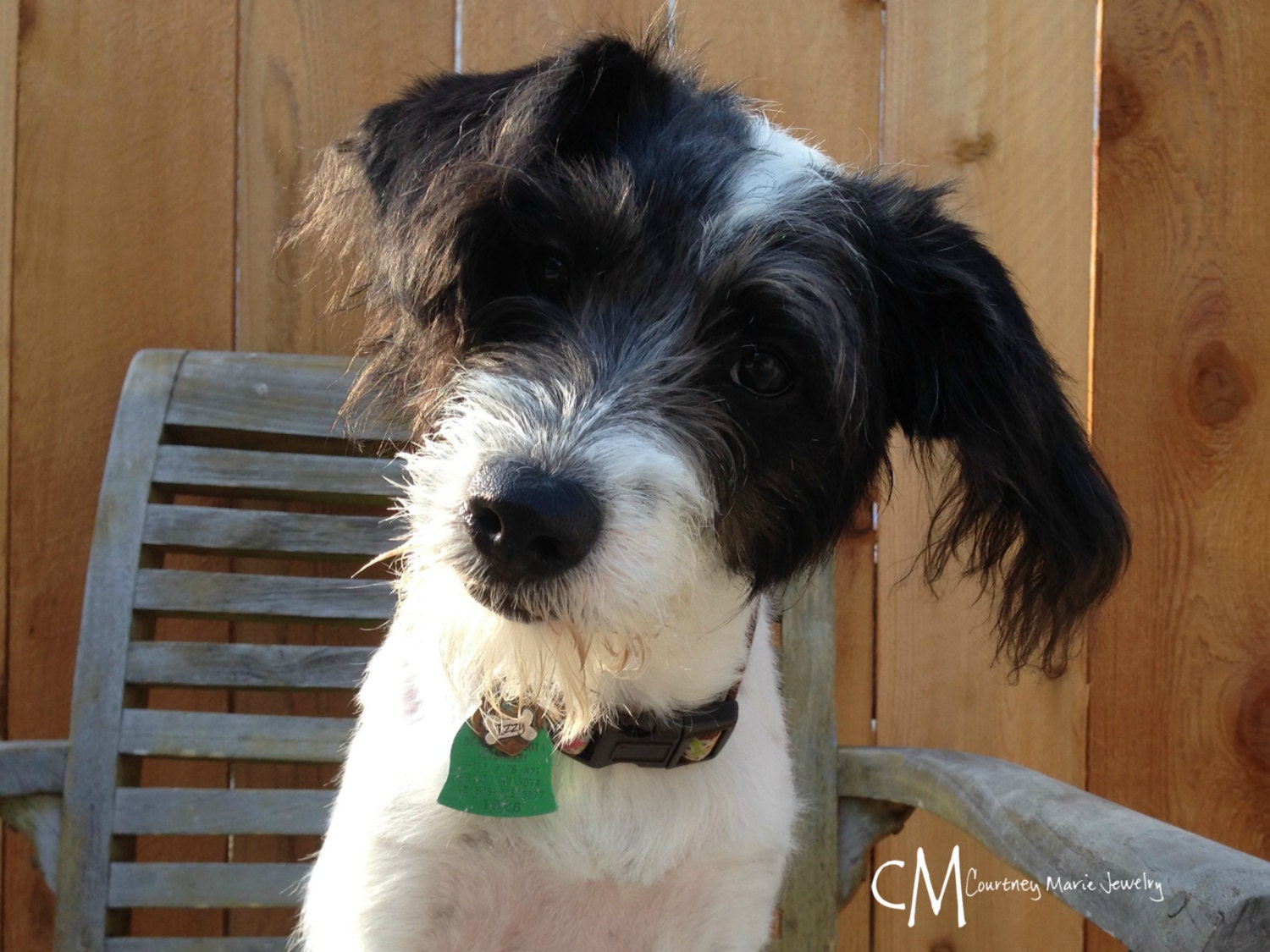 Pet ID tag Custom Pet ID Tag Handmade Pet ID Tag Mixed | Etsy