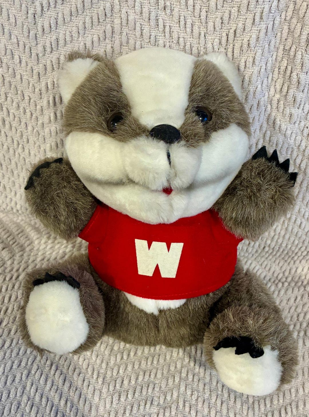 Vintage 1988 Dakin Bucky the Badger Wisconsin Mascot Plush W/ Shirt 10 ...