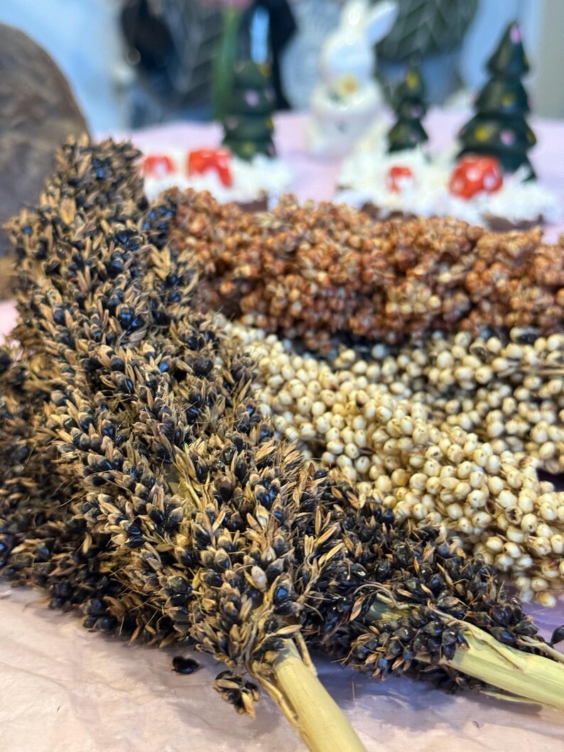 Natural Sorghum Sprays, Hamster Forage, Small Pet & Bird Treats - Etsy