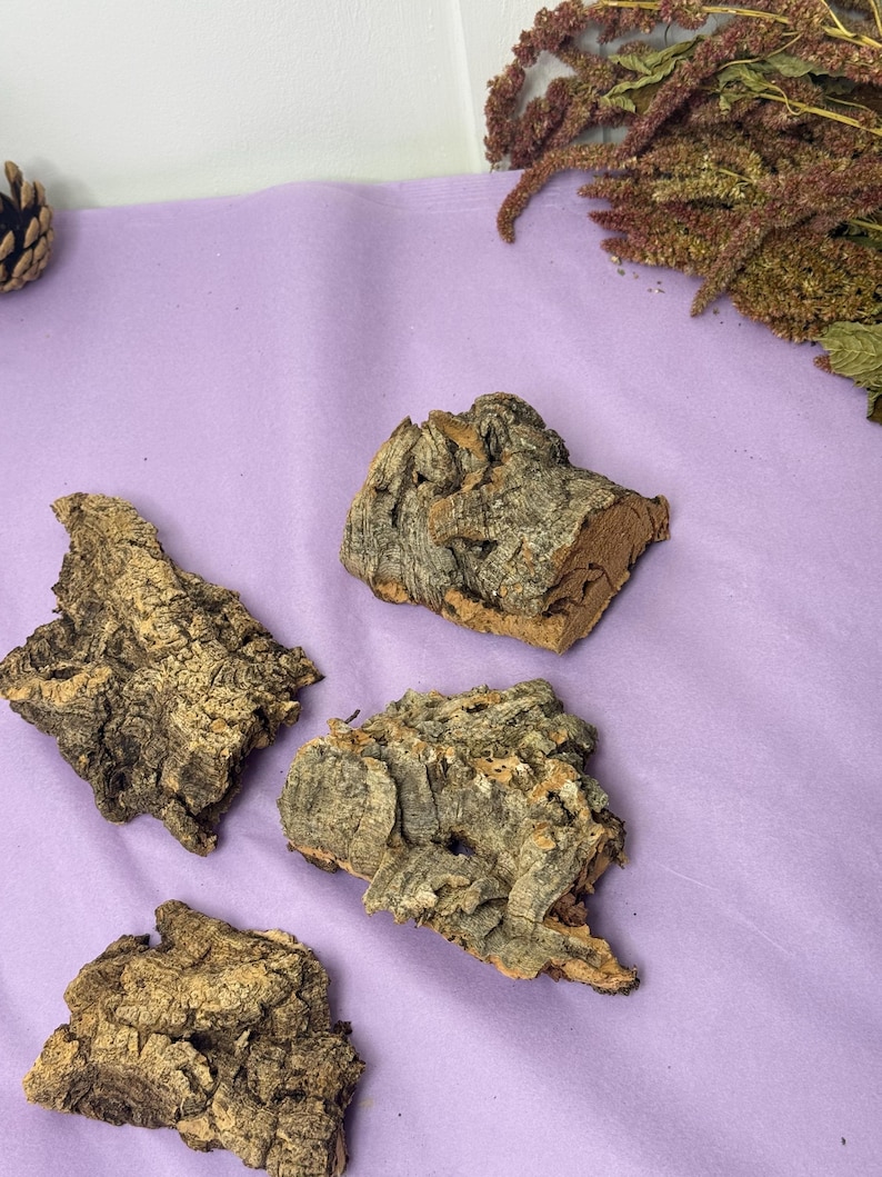 Cork Log Pieces for Hamster Cages, Reptile Tank Decor - Etsy