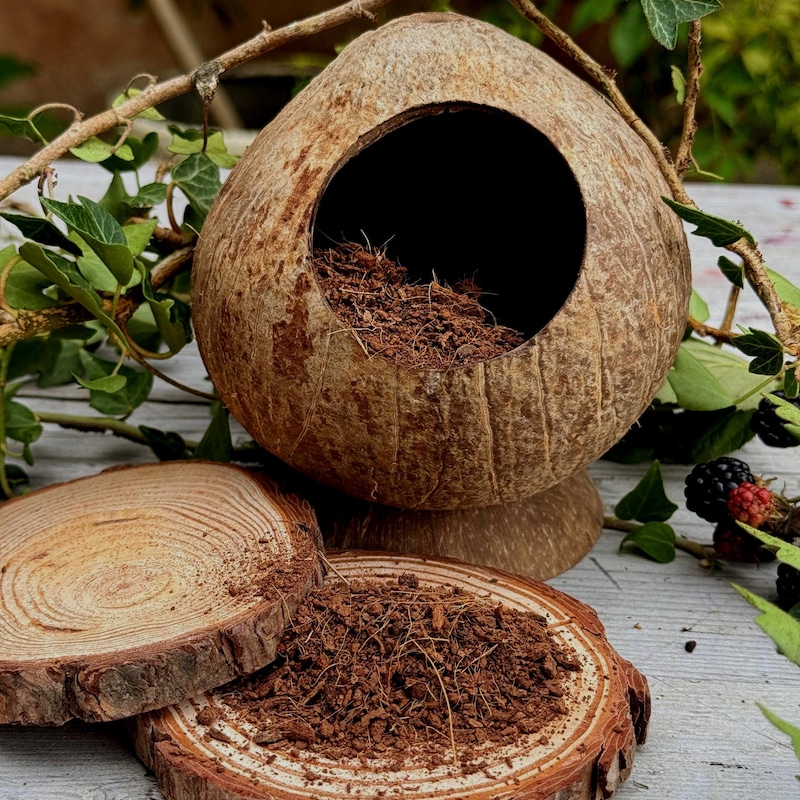 Hamster Dig Substrates - Etsy UK